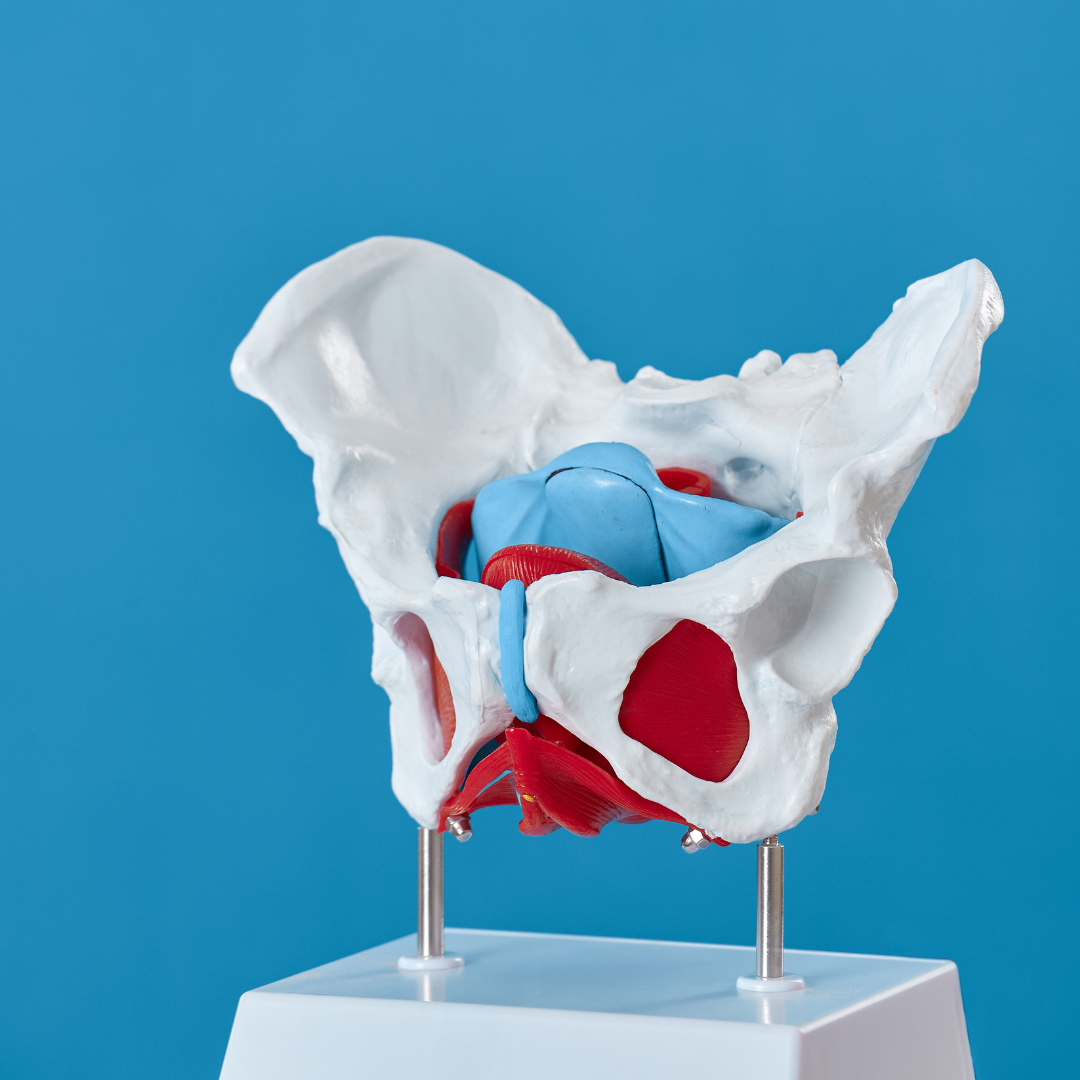 Reconstructive Pelvic Surgery Kolkata | Female Pelvic Surgeon